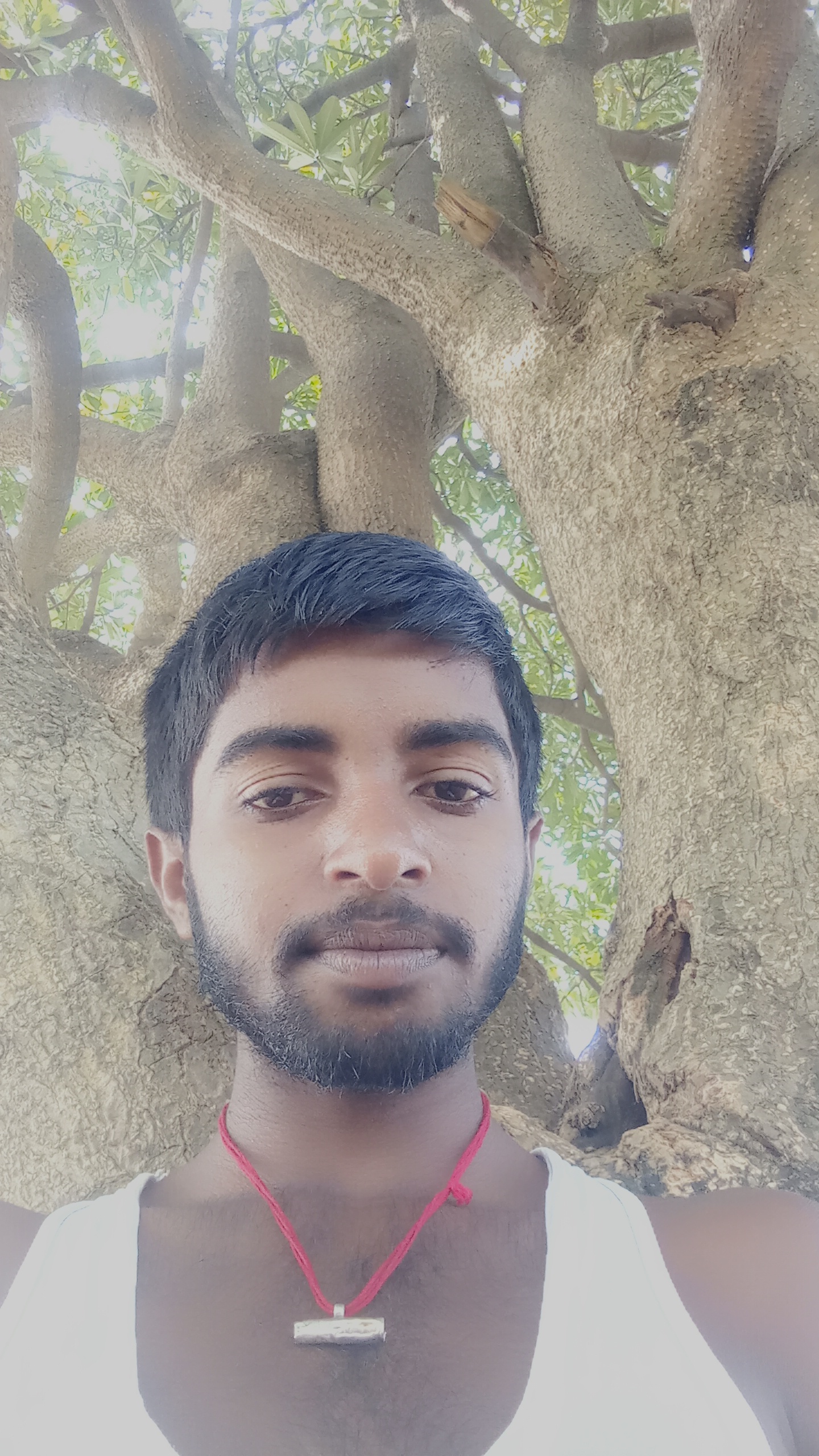 Index of /assets/upload